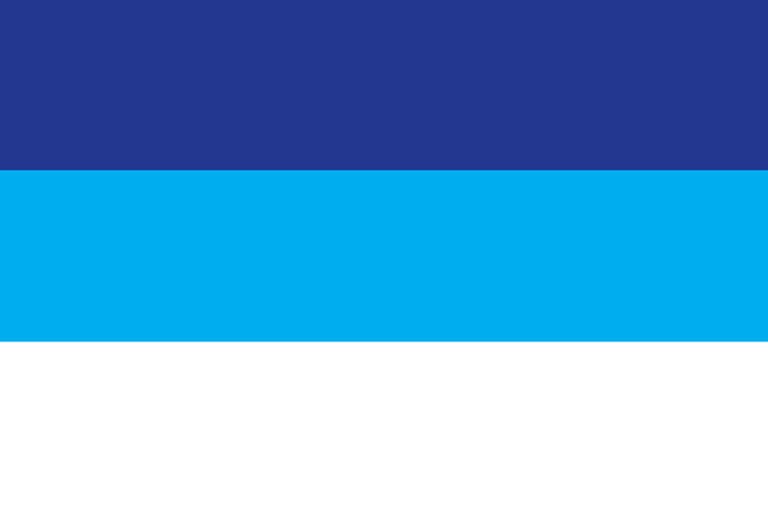 Crest Motto Flag - S. Thomas Preparatory School